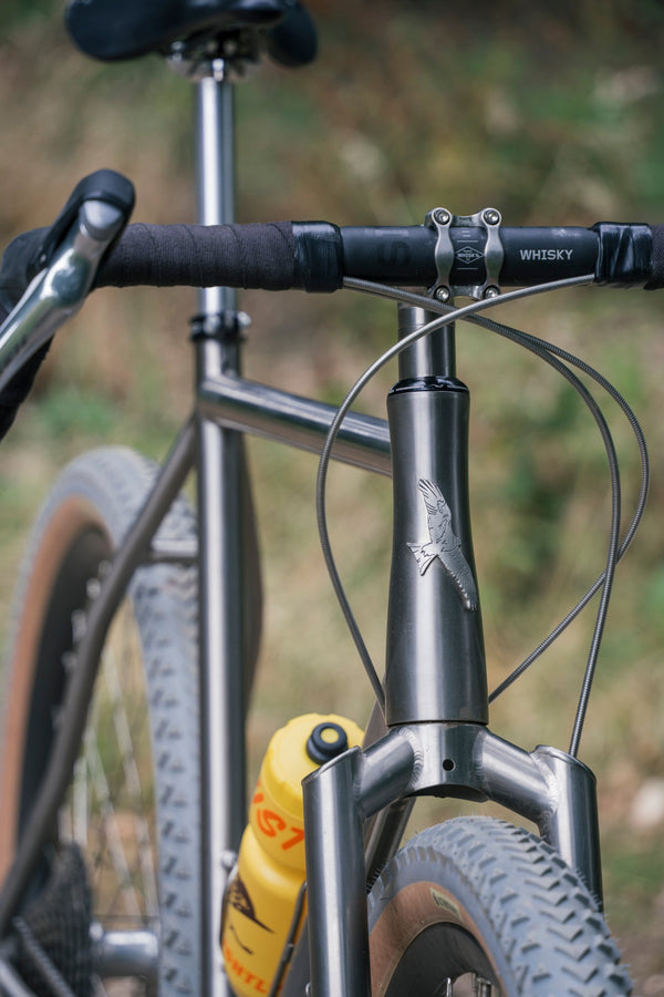 Kite Titanium frameset - standard – singularcycles