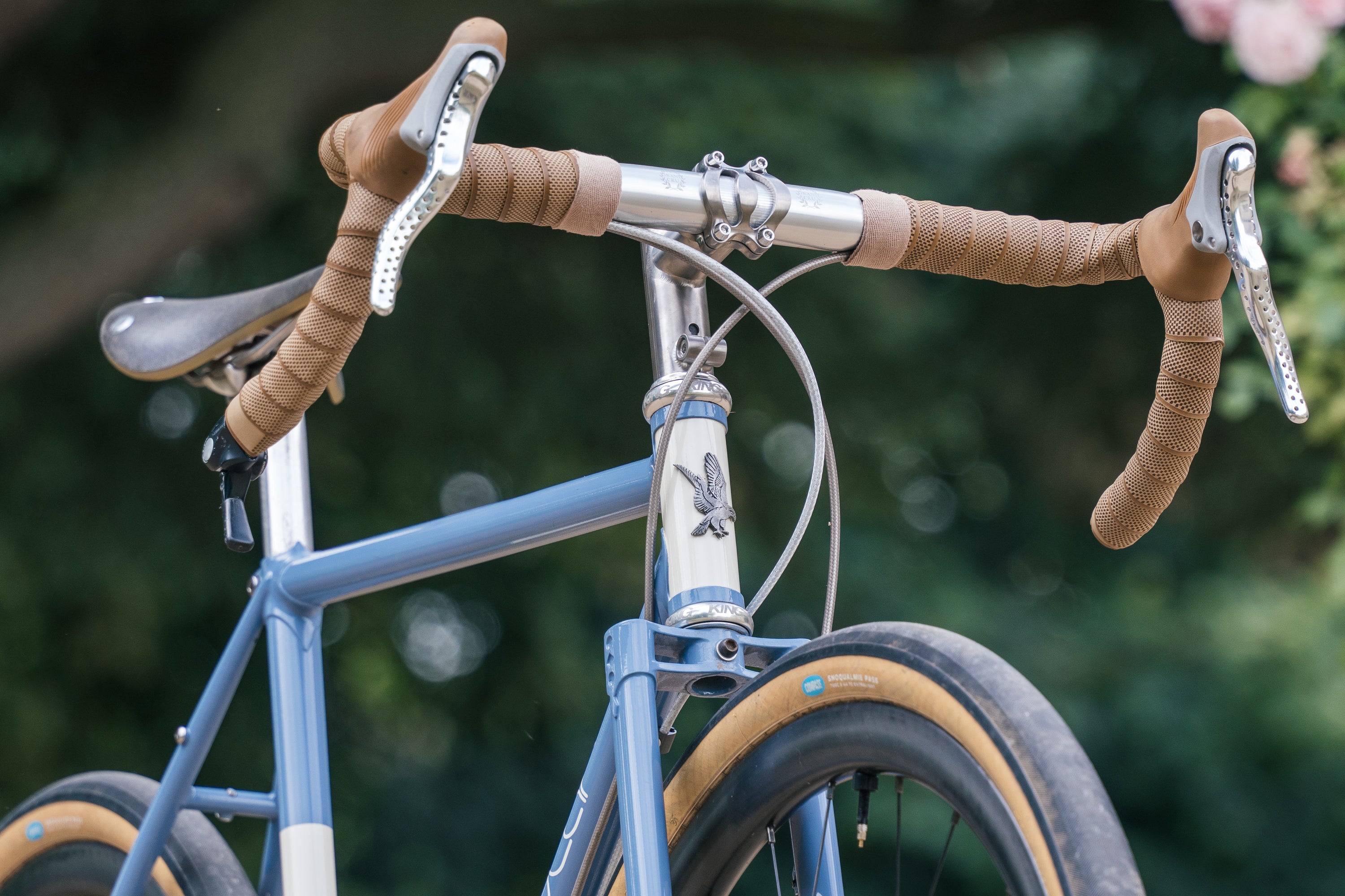 Singular Cycles – singularcycles