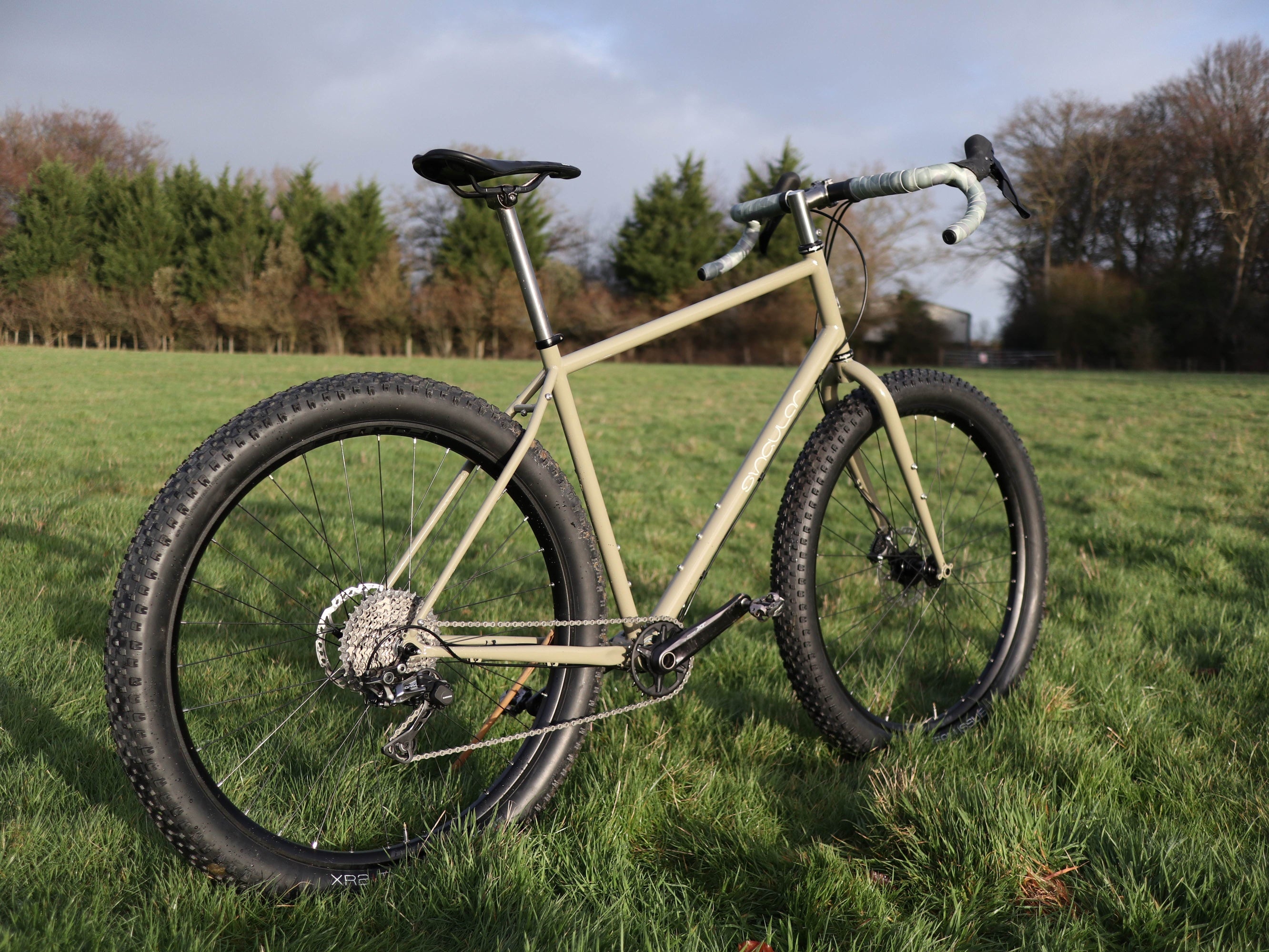 Singular Cycles – singularcycles